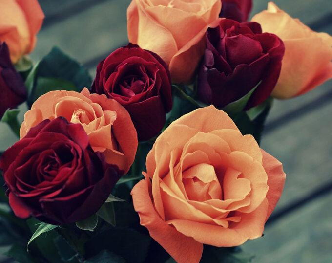 Jowa Blooms | Affordable export flowers and gifts in Kenya